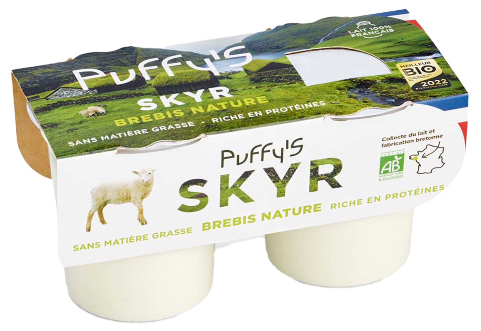 Gâteau léger au SKYR – Skyr Puffy's - Le spécialiste du skyr bio et ...