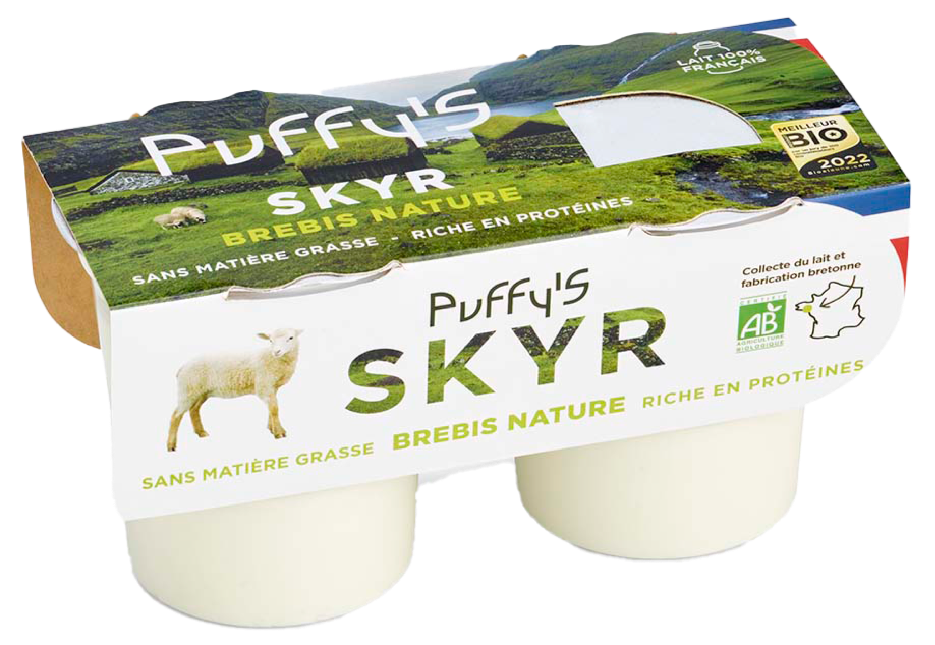 Gâteau léger au SKYR – Skyr Puffy's - Le spécialiste du skyr bio et ...